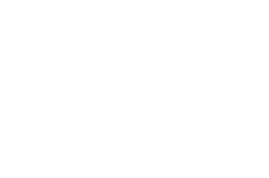 Mind Loops Solutions